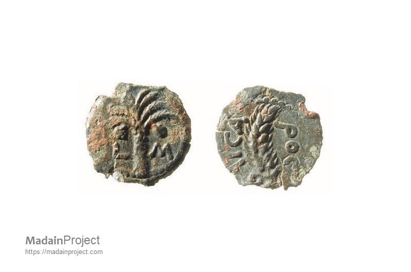 temple mount sifting project